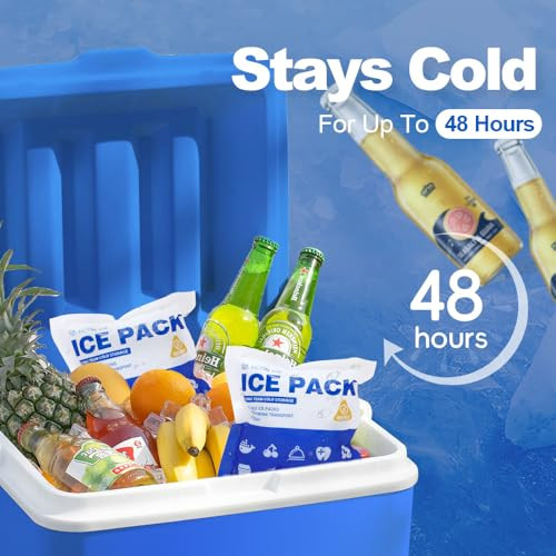 Blue Ice Packs for Coolers, Shipping and Lunch Box | Cold for Up to 48 ...