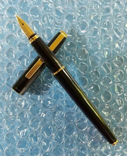 Pilot Fountain Pen 14K F | eBay