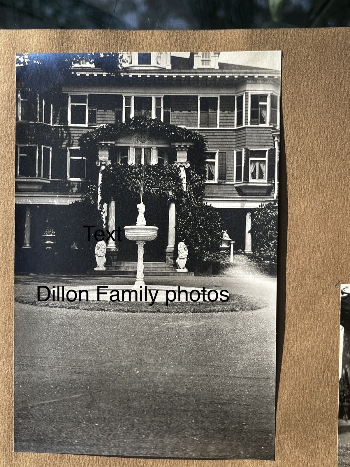 John M Dillon Family PHOTO ALBUMS Overleigh Far Hills NJ 1898-1920, 566 ...