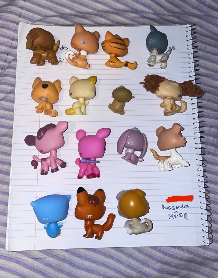 Lps Lot Of 13 READ DESCRIPTION | eBay