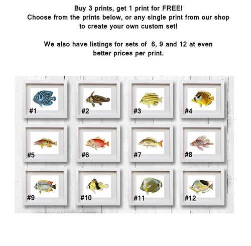 Tropical Fish Prints set of 4 unframed art prints Coastal Decor Beach ...