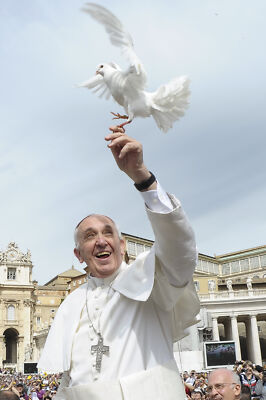 Pope Francis With The Pigeon In His Hand 8x10 Picture Celebrity Print ...