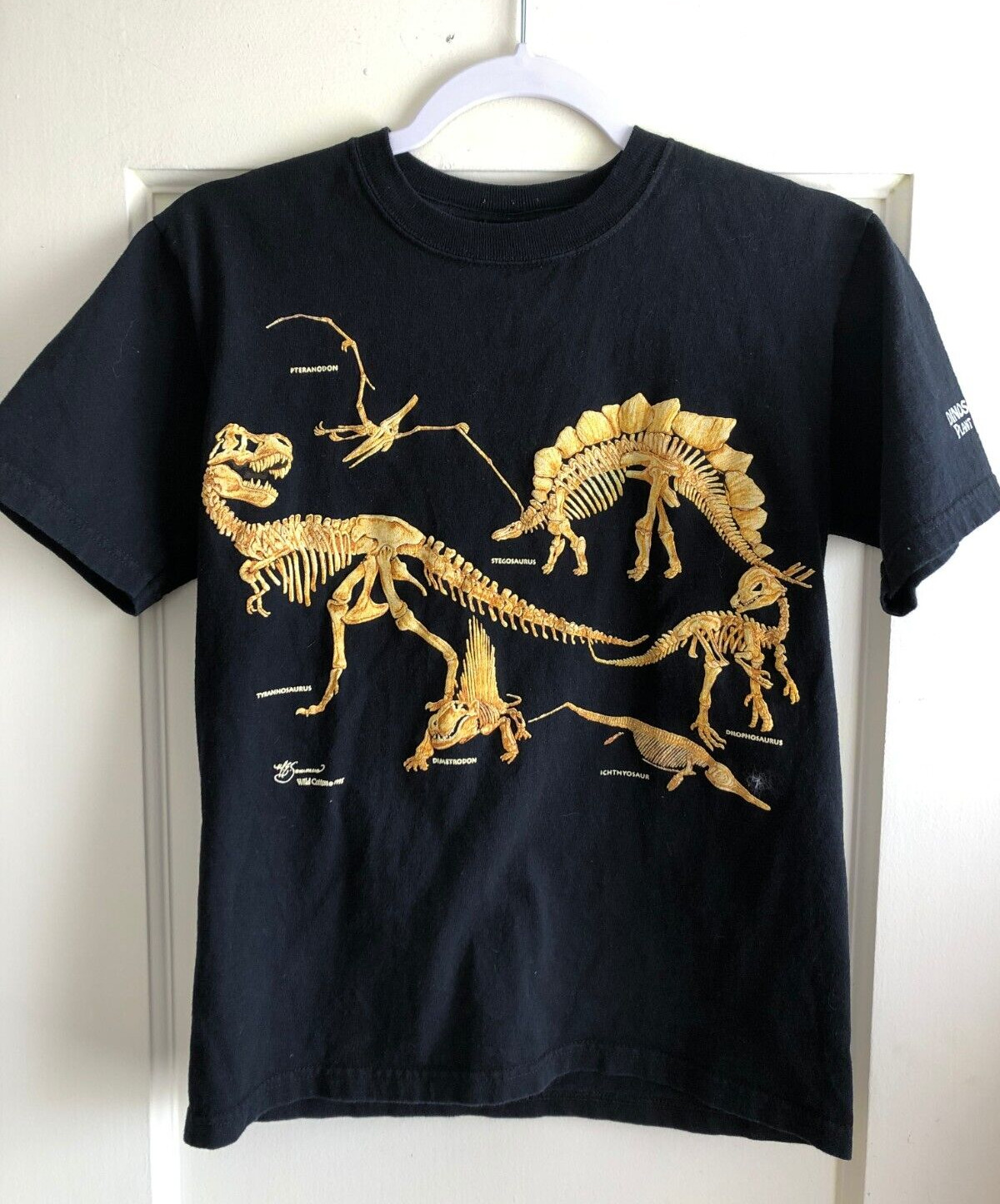 Vintage 1995 Anvil Cotton Dinosaur World Florida T Sh… - Gem