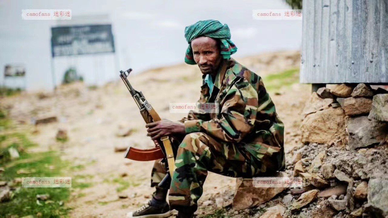 Ethiopia Army Republic Guard Tigray TPLF M81 African Edition Camouflage ...