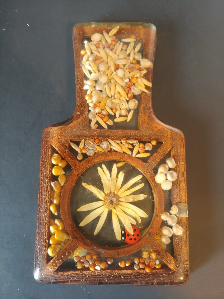 Vtg Lucite Acrylic Trivet Hot Plate & Spoon Rest Set Ladybug Dried ...