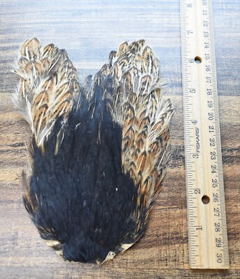 Lot 23, Natural India Hen Neck Cape Feathers for Fly Tying | eBay