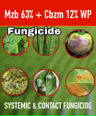 3g x 1 Sachet SYSTEMIC CONTACT FUNGICIDE Leaf Spot Fruit Rot Rust ...
