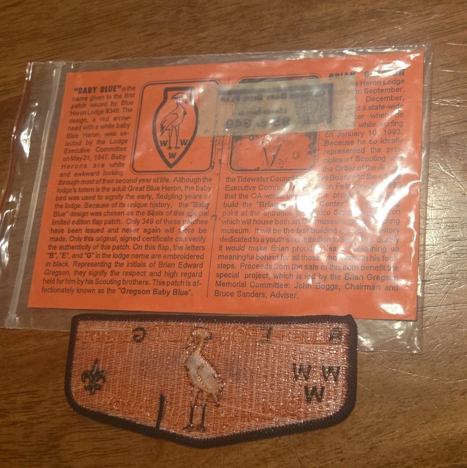 Blue Heron Lodge 349 Flap 095/349 Brian Gregson Flap S18a Order of the ...