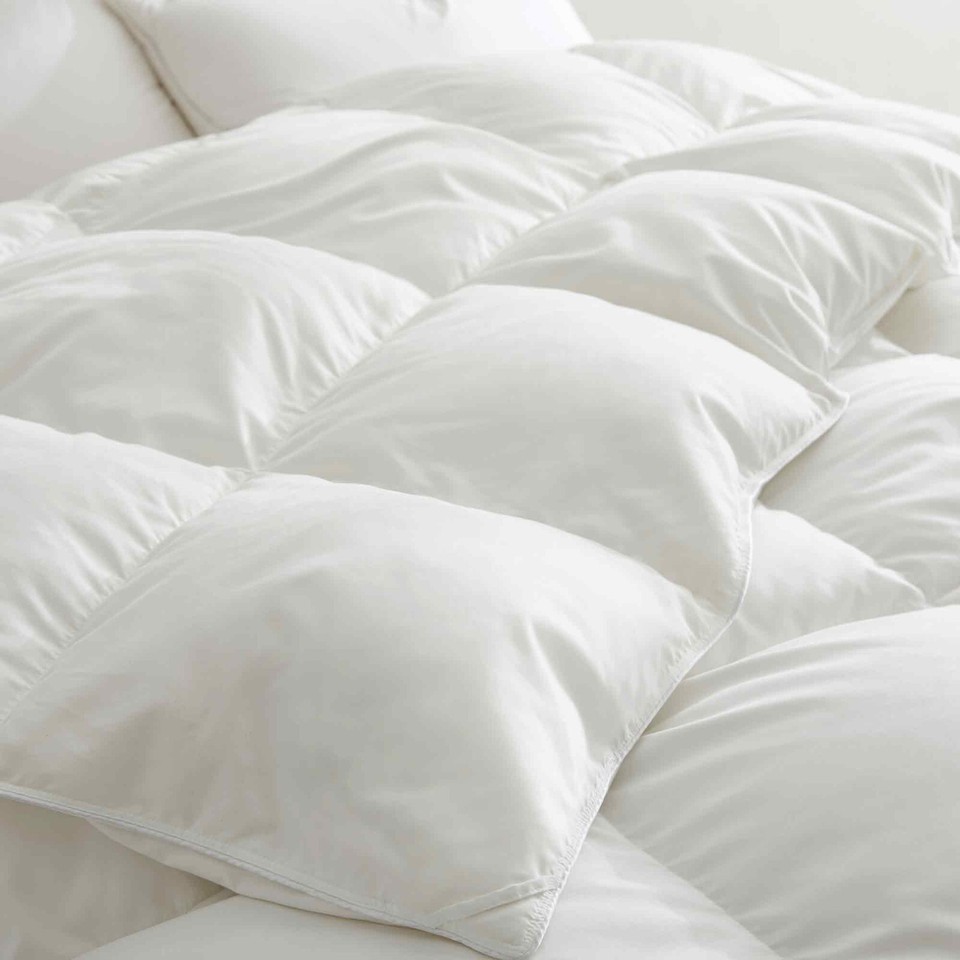 Extra Warm Winter Comforter Super Fullfy , White Goose Down Duvet ...