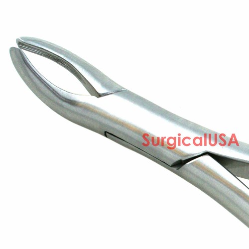 Extracting Forceps #24 Universal Upper Molars NEW Dental Surgical ...