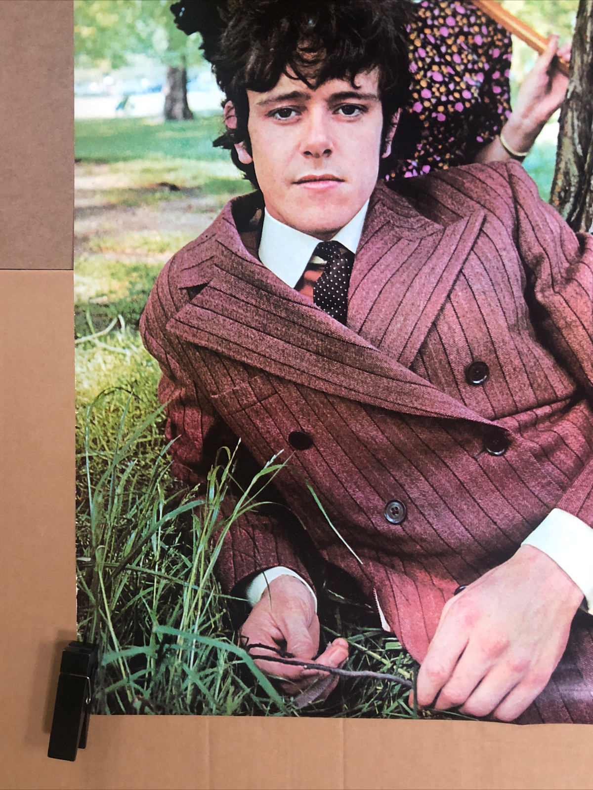 Donovan Original Vintage Poster Music Memorabilia Pinup 1967 ...