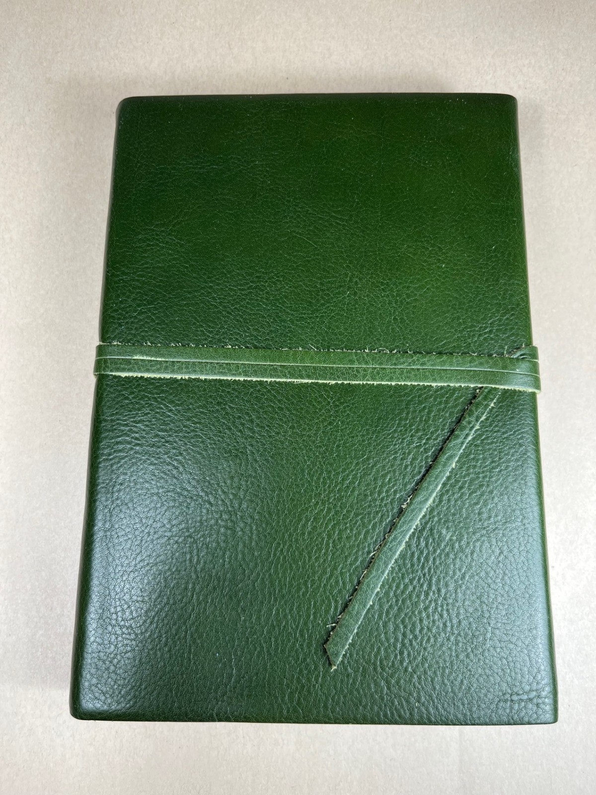 Cavallini & Co. Green Leather Roma Lussa Journal, 6" x 8" | eBay