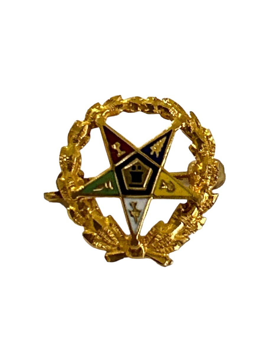 Vintage 10K Gold Enamel Masonic Order of the Eastern Star Lapel Pin | eBay