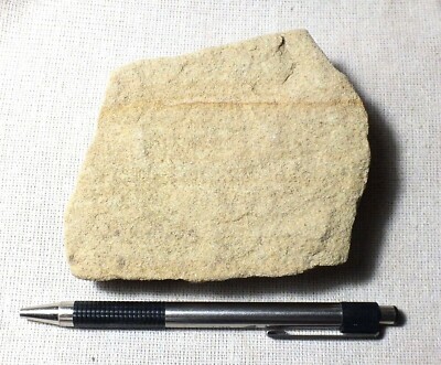 sandstone - Dakota Sandstone - hand specimen of fine grained buff ...