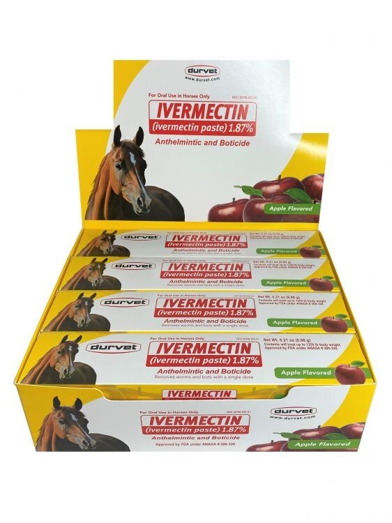 Durvet Equine Paste Anthelmintic and Boticide for Horses 0.21 oz | eBay