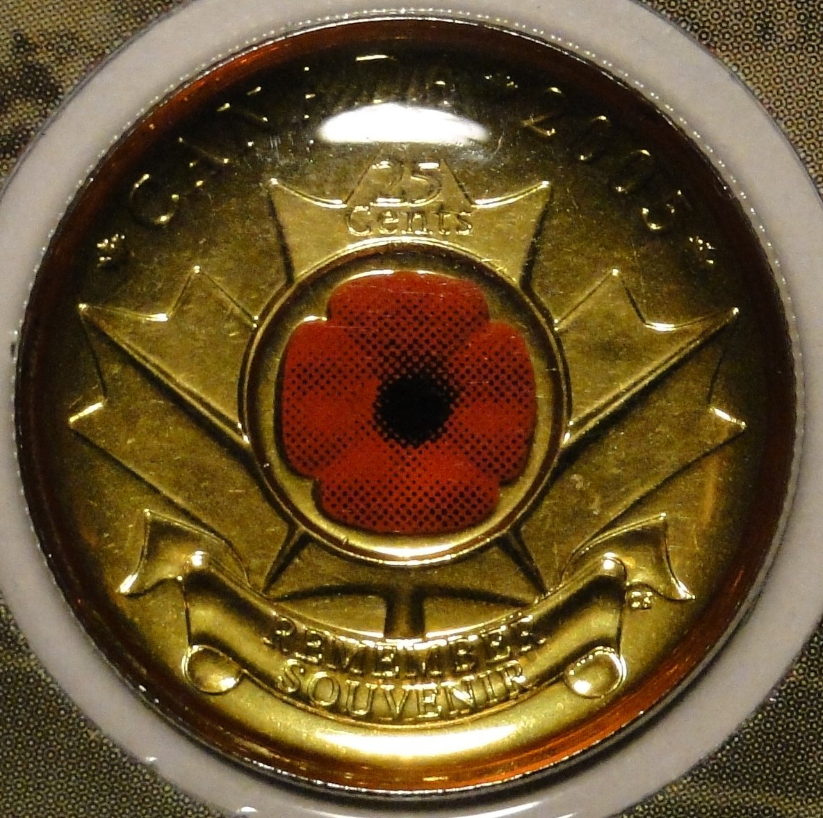BU Canada 2005 colorized poppy quarter 25 cents 25c commemorate pin ...