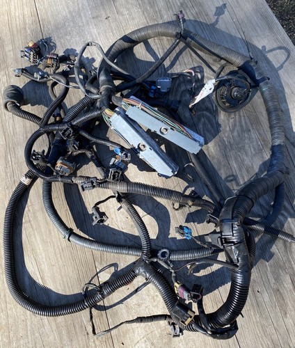 GENUINE HOLDEN VU V8 LS1 AUTO ENGINE HARNESS LOOM - MANARO SS 5.7L | eBay