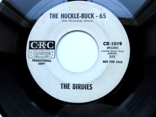 The Birdies – The Huckle-Buck - 65 / Pitter Patter PSYCH VG+ 45 rpm ...