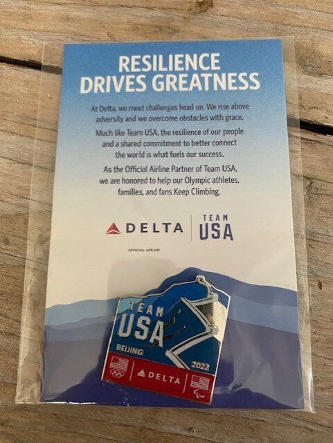 Collection of Rare Delta Air Lines Pins & Challenge Coin | eBay