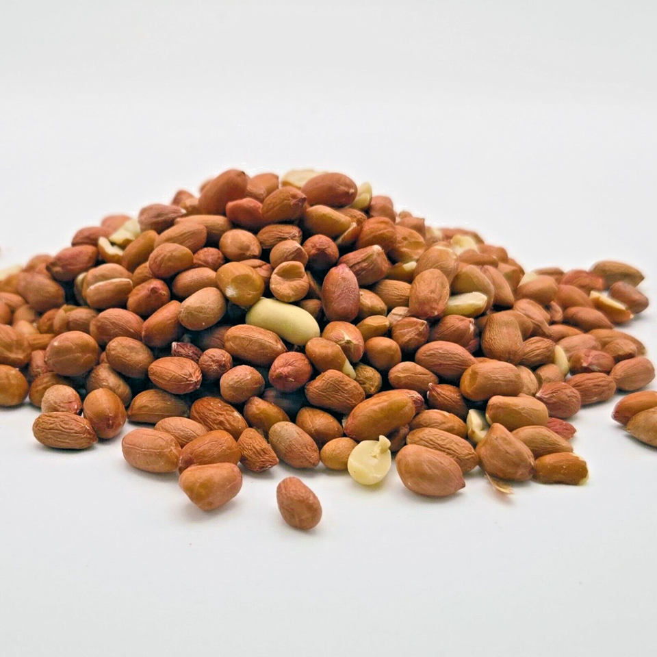 25Kg Standard Peanuts Wild Bird Food High Oil Aflatoxin Safe Nuts Feed ...