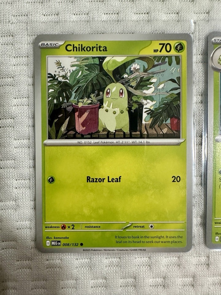 Pokemon Mega Evolution - 3 Stage Set - Meganium Bayleef Chikorita 010/ ...