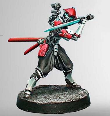 INFINITY New Female Haramaki "Tanko" Zensenbutai C JSA Yu Jing Corvus ...