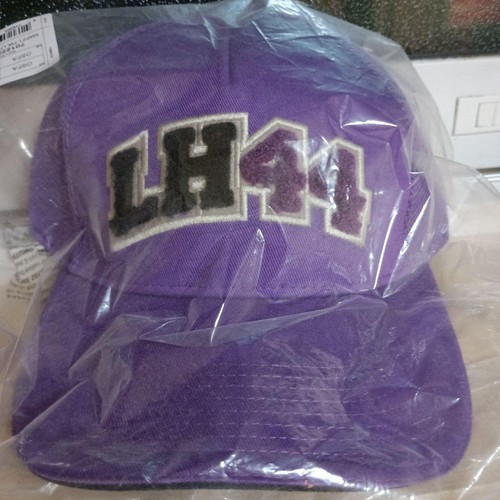 Mercedes AMG Petronas Lewis Hamilton LH44 F1 Japan GP Official Cap New ...