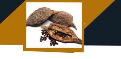 LOT 15 Gousse de Poivre de Guinée / Piment de Guinée / Poivre d ...