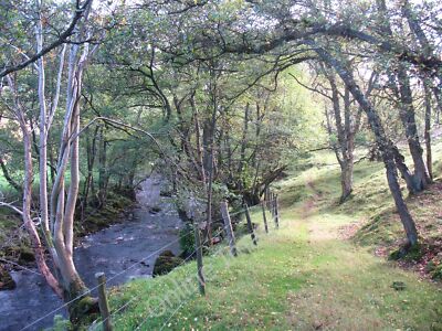 Photo 6x4 Path by Arkle Beck Arkle Town Footpath along the right bank ...