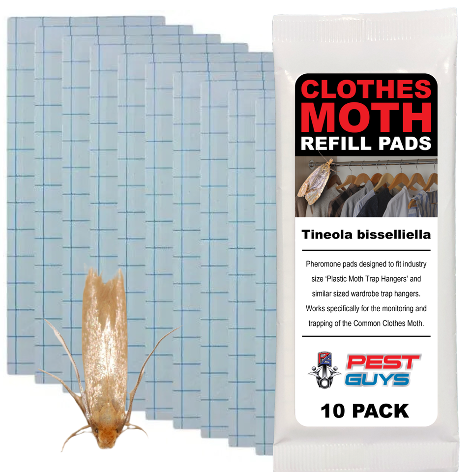 Clothes Moth Genuine Pheromone Refill Pads Sticky Trap - Effective Moth ...
