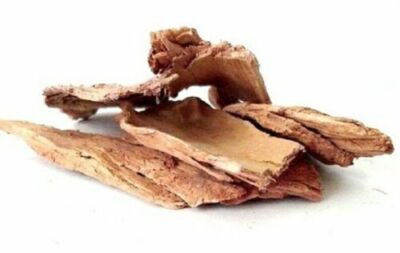 ARJUNA BARK Terminalia Arjuna, Arjun tree bark WHOLE FREE SHIP | eBay ...