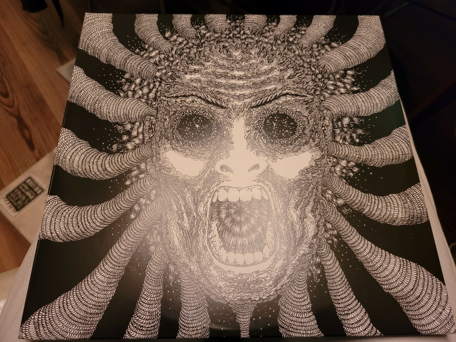 TY SEGALL BAND SLAUGHTERHOUSE 10 INCH VINYL GATEFOLD SLEEVE RECORD ...