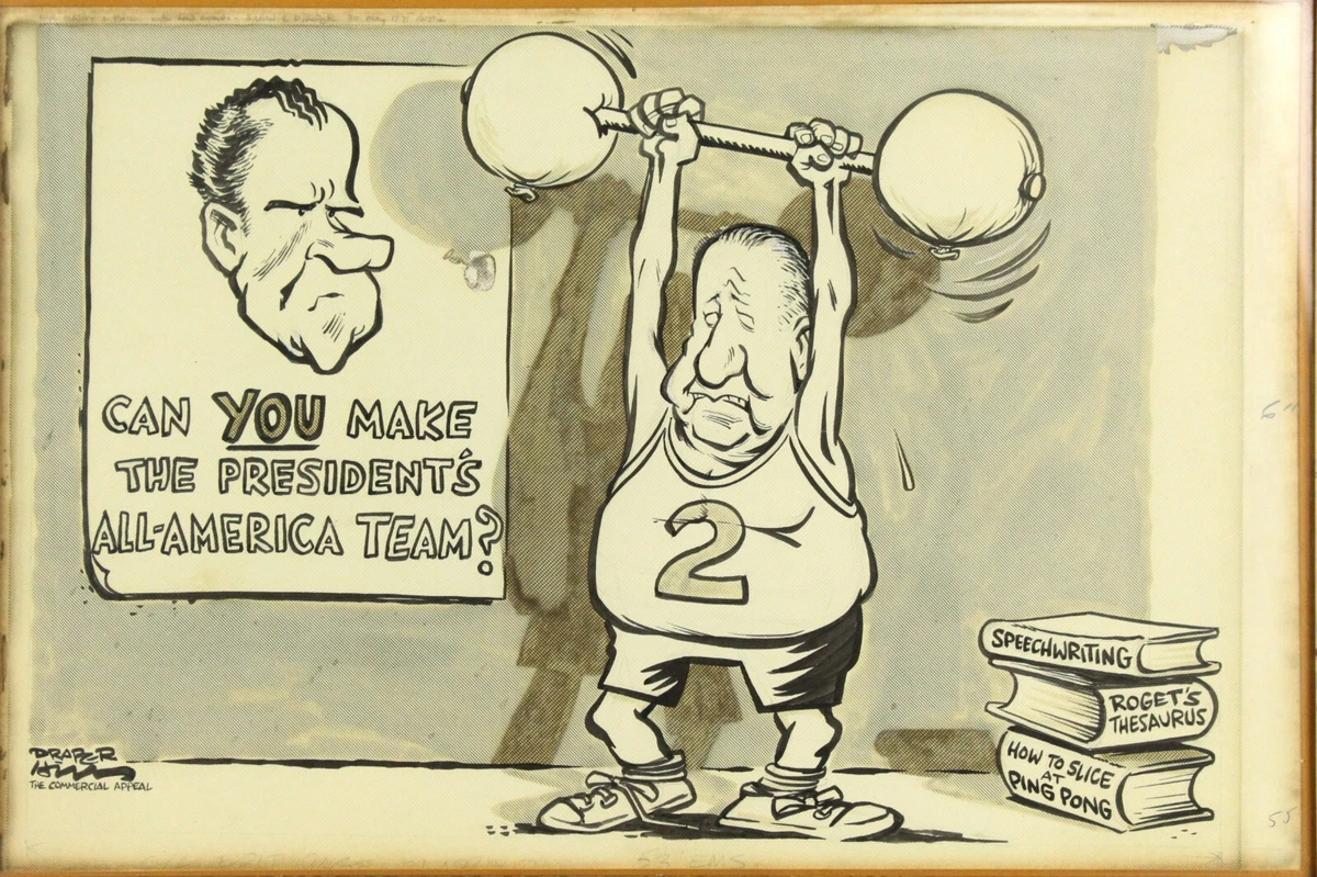 Nixon Political Cartoon