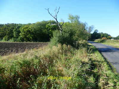 Photo 12x8 The road to Wennington Wood The road between Little Raveley ...