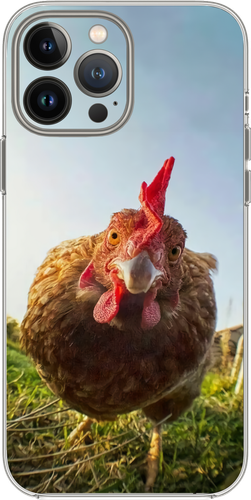 Chicken Peck Funny Meme Joke What? Case Cover Silicone / Shockproof ...