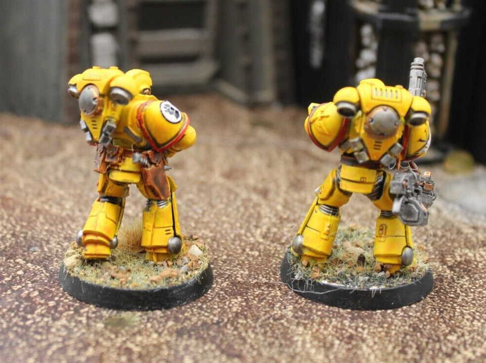 5x Imperial Fists Intercessors, Studio Painted, ID#1650 | eBay