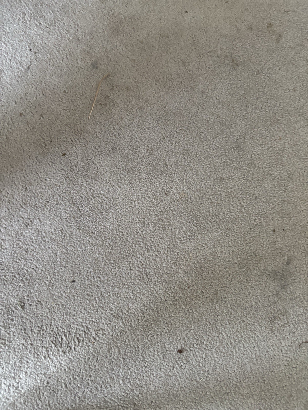 HORNBY OO R069 INTERCITY Blue Grey Yellow Class 43 HST 125 Dummy 43011 ...