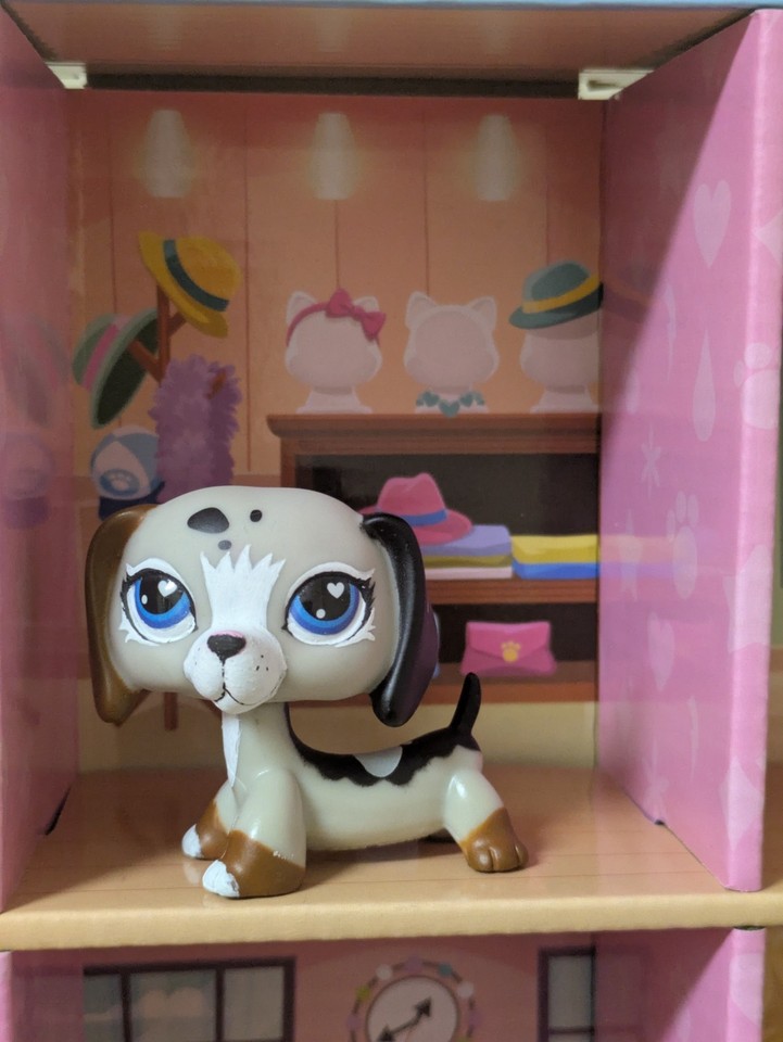LPS G7 Daschund Dog Custom OOAK Hand Painted Pet Toy Figure #312 | eBay