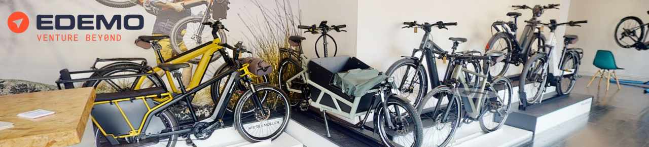EDEMO Electric Bikes | eBay Stores
