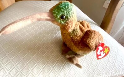 Vintage Rare TY “Beak” Feb 1998 Beanie Baby Kiwi Bird | eBay