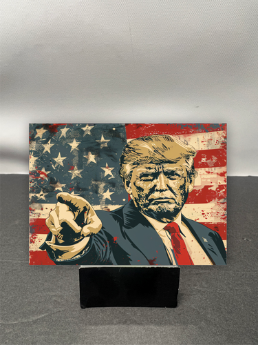 Donald Trump 2024 Custom Trading Card Thick C501 | eBay