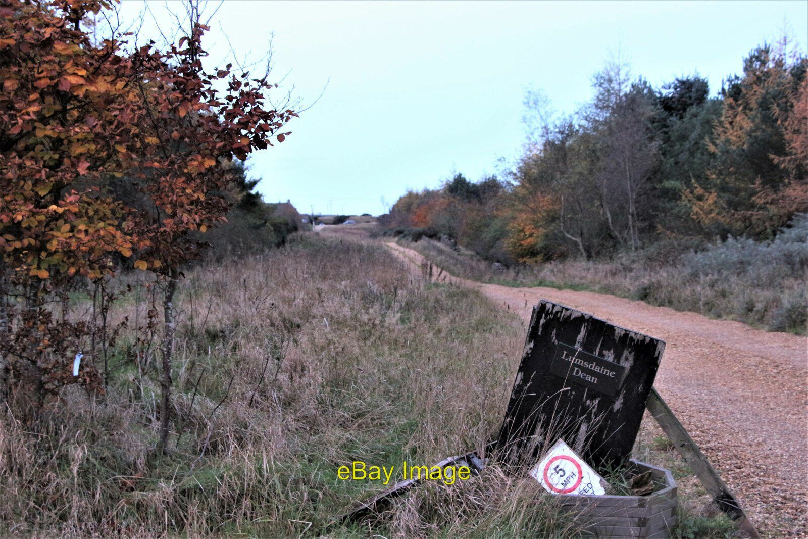 Photo 6x4 Road to Lumsdaine Dean Coldingham c2021 | eBay UK