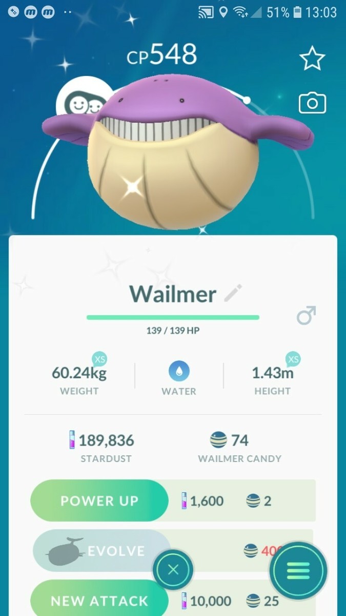 Wailmer Pokemon Wailmer PhotoDex New Pokémon Snap