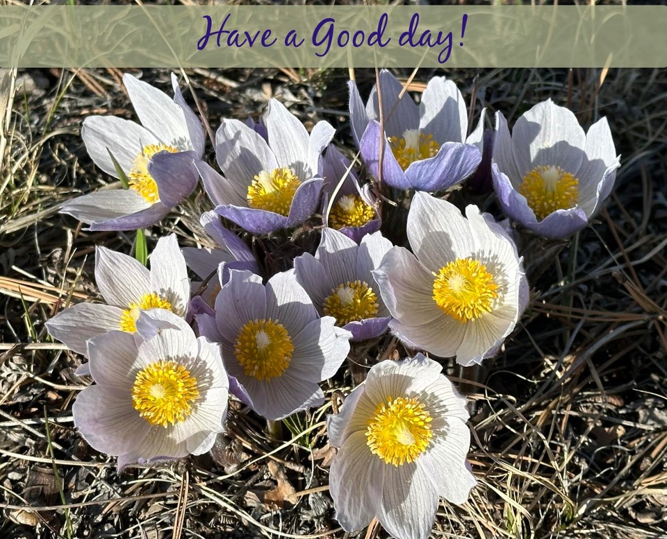 Five PYREX Glass CANDLE FOLLOWERS Follower ~ Pat. 1941 2231656 ...