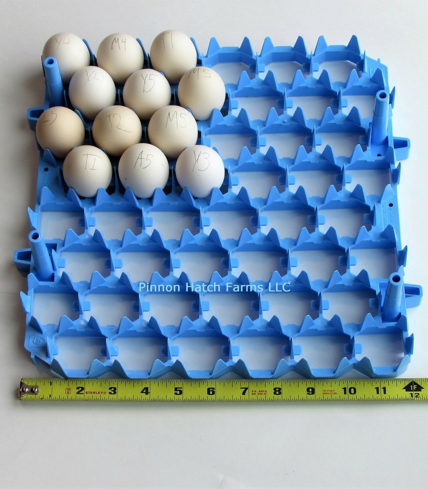 Pinnon Hatch Farms Incubator Egg Hatching Trays for Small to Large ...