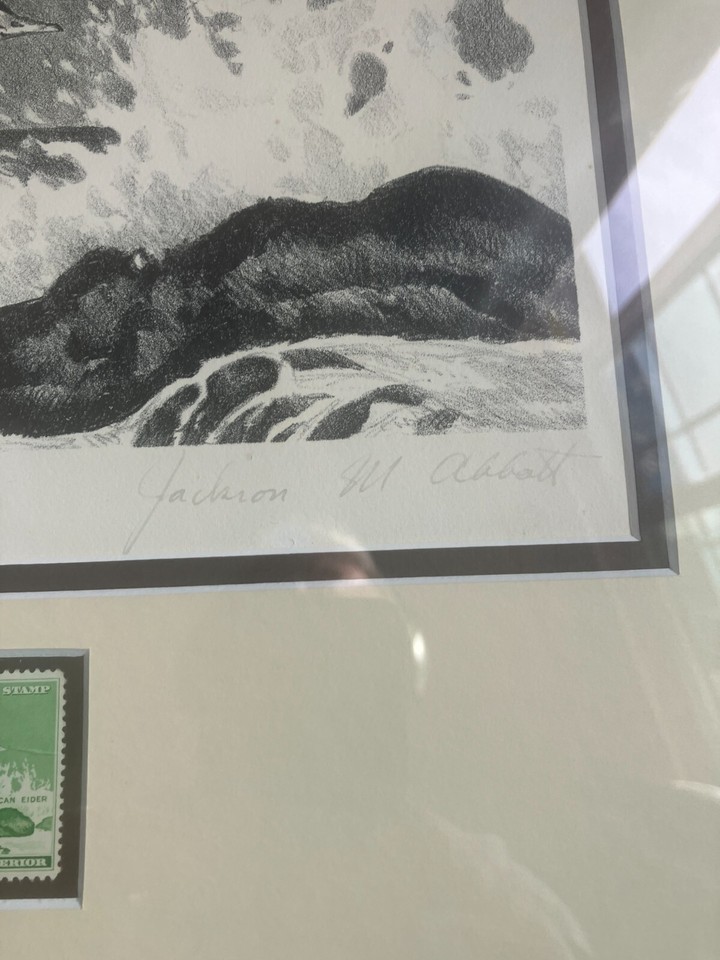 RW24 Federal duck print 1st Edition with stamp Abbott | eBay