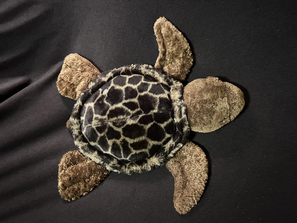 Cute Sea Turtle Design