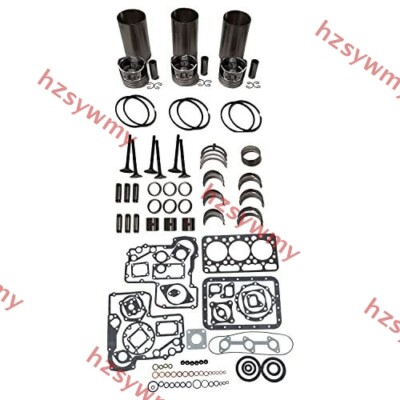For Kubota KH41 KH61 KH61H Excavators D950 Engine Overhaul Rebuild Kit ...