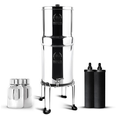 Phoenix Gravity Stainless Steel Water filter, Stand and Fluoride ...