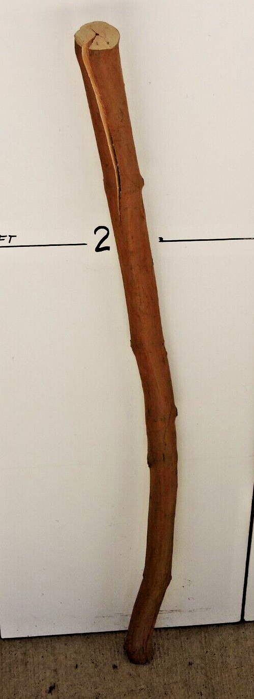 33" Grapevine Wood Driftwood Walking Stick Staff Carving Crafts 1 7/16 ...